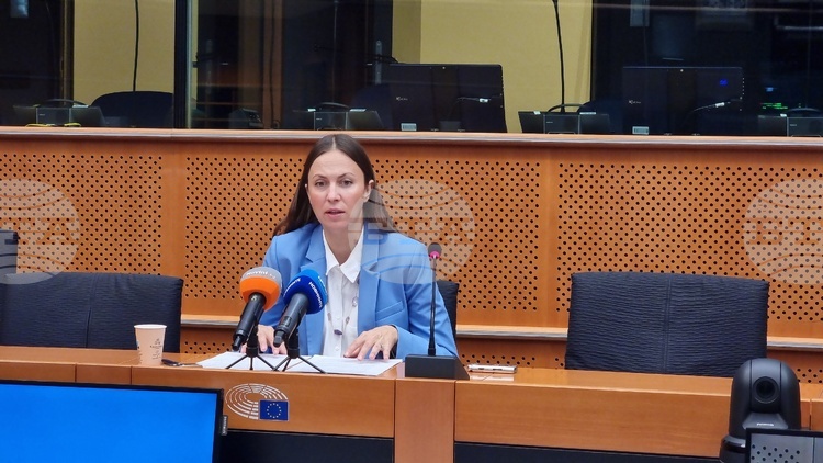 BTA :: MEP Eva Maydell: Trump Will View EU as Excel File, Political ...